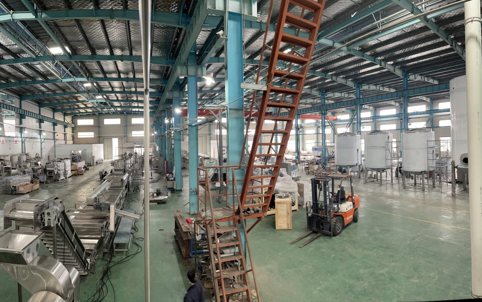 Vegetable Processing Machine – goldcheermachinery.com